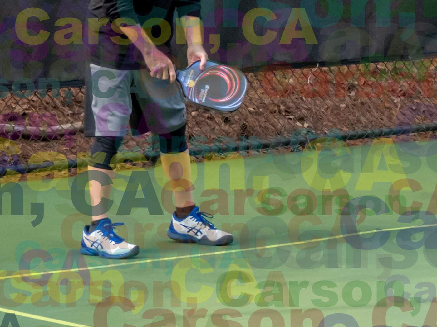 Carson Pickleball: Courts, Clubs & Events